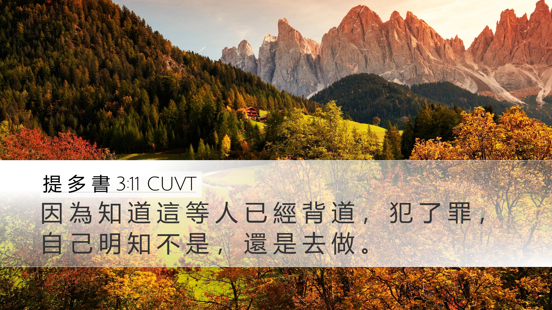 提 多 書 3:11 CUVT Desktop Wallpaper - 因 為 知 道 這 等 人 已 經 背 道