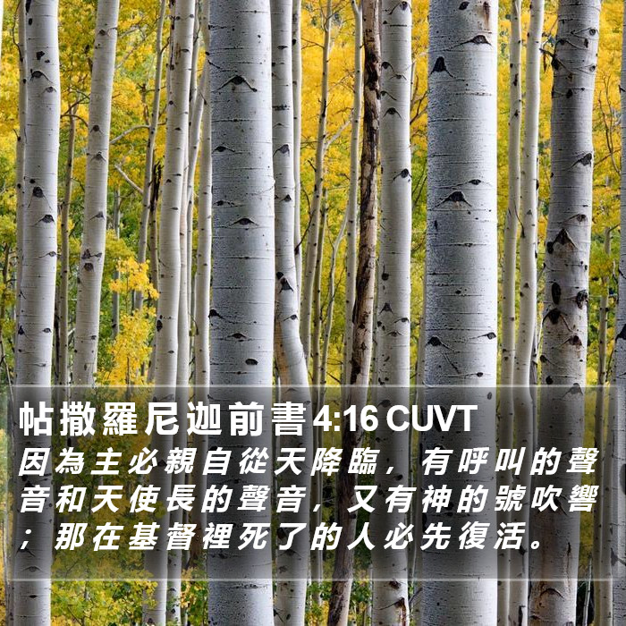 帖 撒 羅 尼 迦 前 書 4:16 CUVT - 因 為 主 必 親 自 從 天 降 臨 ， 有