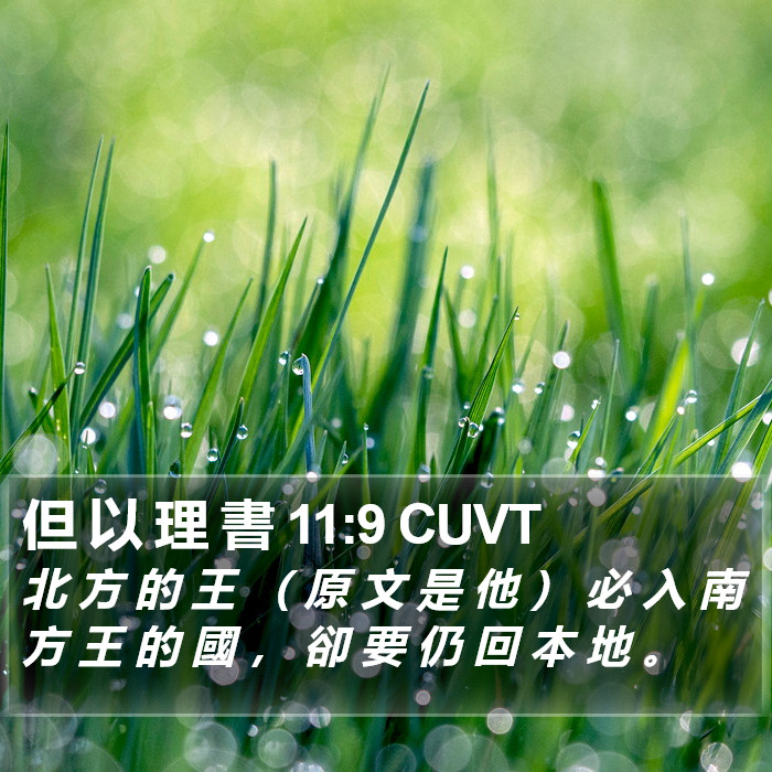 但 以 理 書 11:9 CUVT - 北 方 的 王 （ 原 文 是 他 ） 必 入