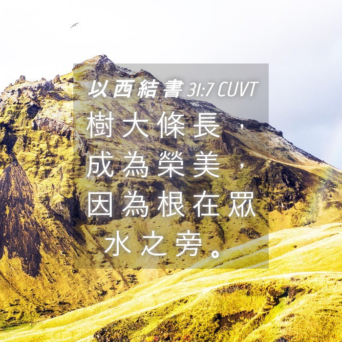 以 西 結 書 31:7 CUVT - 樹 大 條 長 ， 成 為 榮 美 ， 因 為